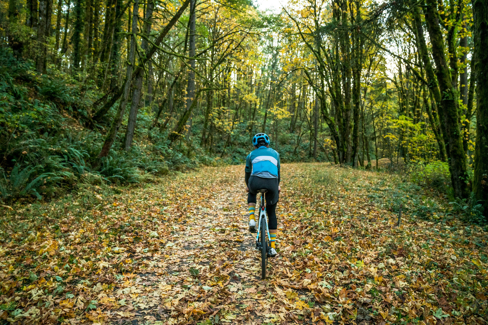 United Sport & Cycle - Edmonton's Favourite Bike and eBike Store