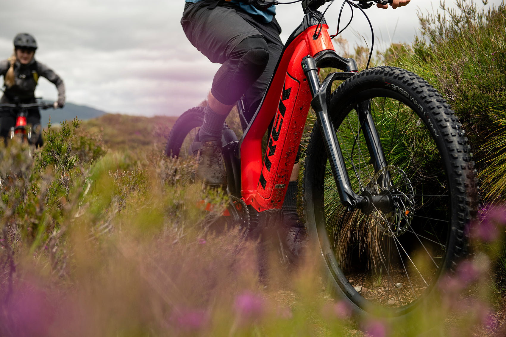 Edmontons Voted Favourite Bike Shop and Unbeatable Bicycle Selection