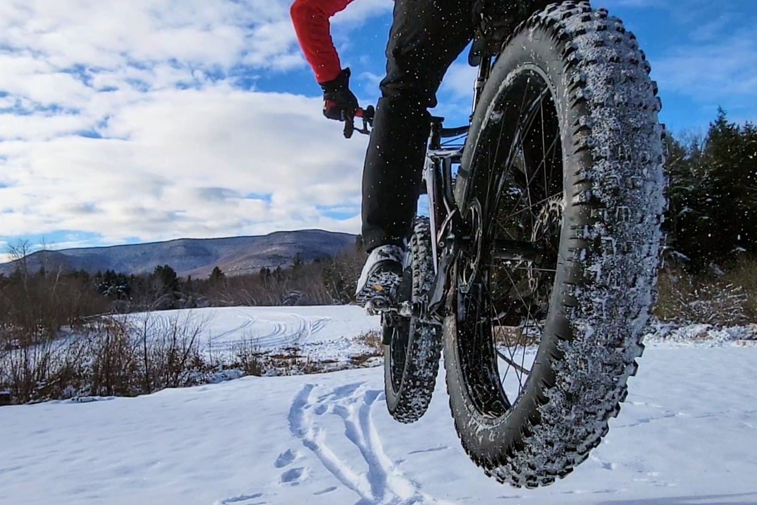 United Sport & Cycle - Edmonton's Favourite Bike and eBike Store