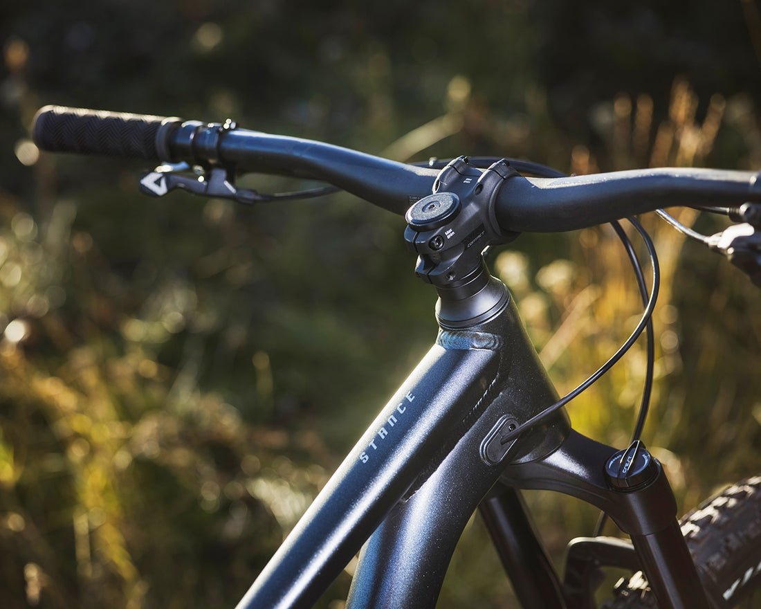 Edmontons Voted Favourite Bike Shop and Unbeatable Bicycle Selection